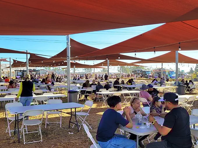 Under terracotta shade sails, visitors refuel after berry battles, comparing their harvests like fishermen with their catches.