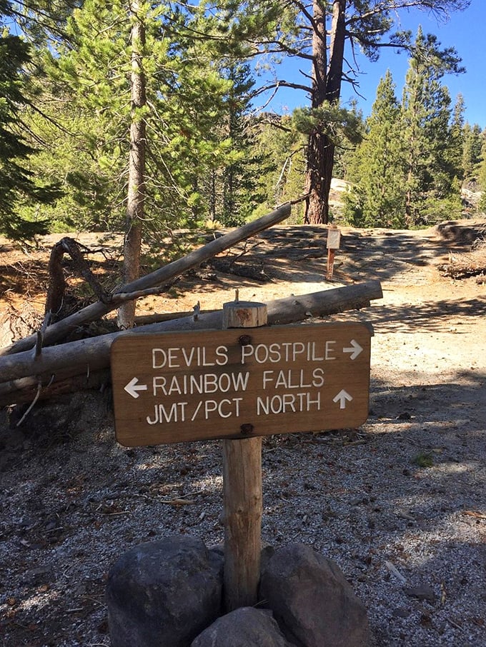 Trail markers in the wilderness &ndash; where "you are here" means somewhere between civilization and wonderland, and you're perfectly fine with that.
