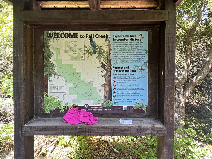 Welcome to Fall Creek, where the map can't possibly capture the magic. That pink item? Someone's forgotten treasure or trail fairy offering.