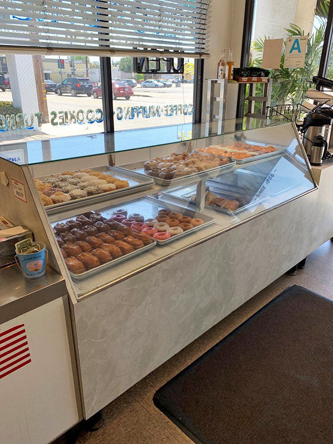 Decisions, decisions… The donut case at Primo's presents the kind of existential dilemma that nobody minds facing first thing in the morning.