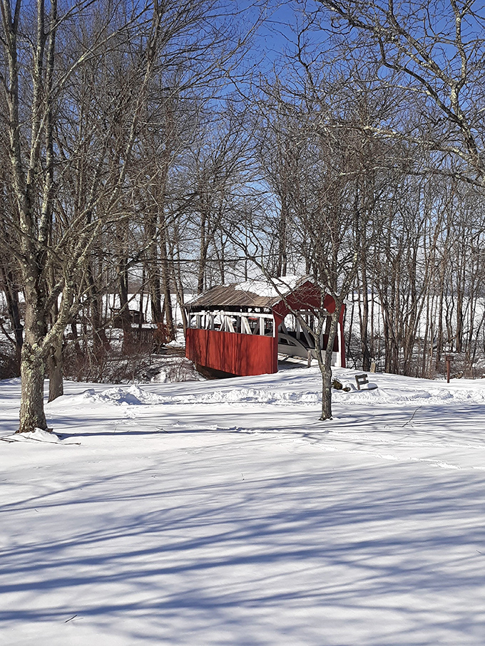 Winter transforms the bridge into a Christmas card scene, minus the annoying glitter that gets everywhere for three months afterward.