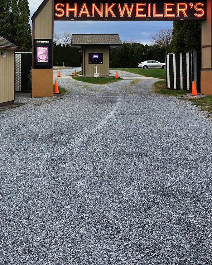 Orange traffic cones and the illuminated booth create a welcoming path into cinema history.