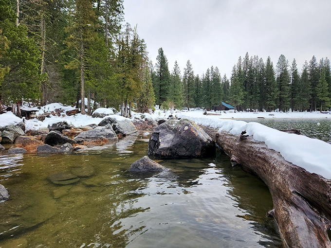 Winter's edge meets liquid possibility. Lake Wenatchee's partially frozen shoreline creates that magical boundary where two seasons negotiate their beautiful transition.