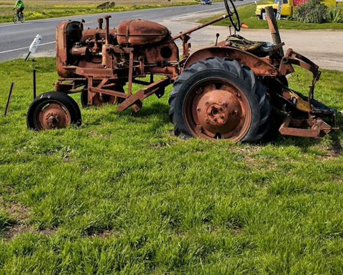 This retired tractor has earned its rest after decades of field work. Now it serves as rustic sculpture and silent farm historian.