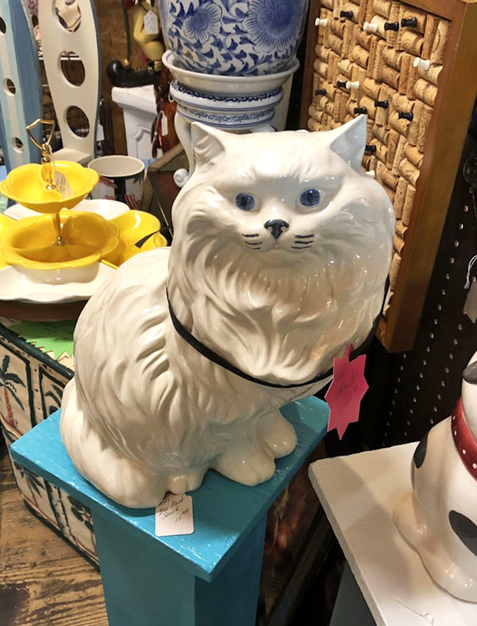 The ceramic cat with knowing blue eyes seems to judge your other purchases, silently asking if you really need another decorative figurine.