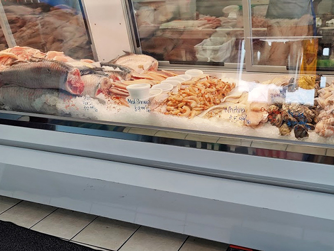 The fresh fish case showcases today's catches. In landlocked Kansas, this display is practically a magic trick worthy of David Copperfield.