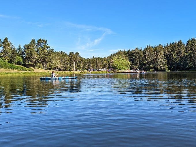 Coffenbury Lake offers peaceful paddling where the biggest stress is deciding which shoreline to explore first. Fish below, blue skies above &ndash; perfection.