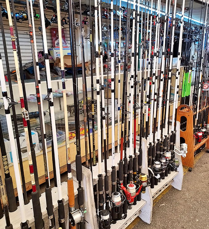 The fishing section stands ready to equip anglers with everything needed to tell impressive "one that got away" stories at their next family gathering.