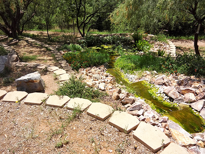 A desert garden where carefully placed stones guide a stream, proving that Arizona landscaping isn't just about arranging different colors of gravel.
