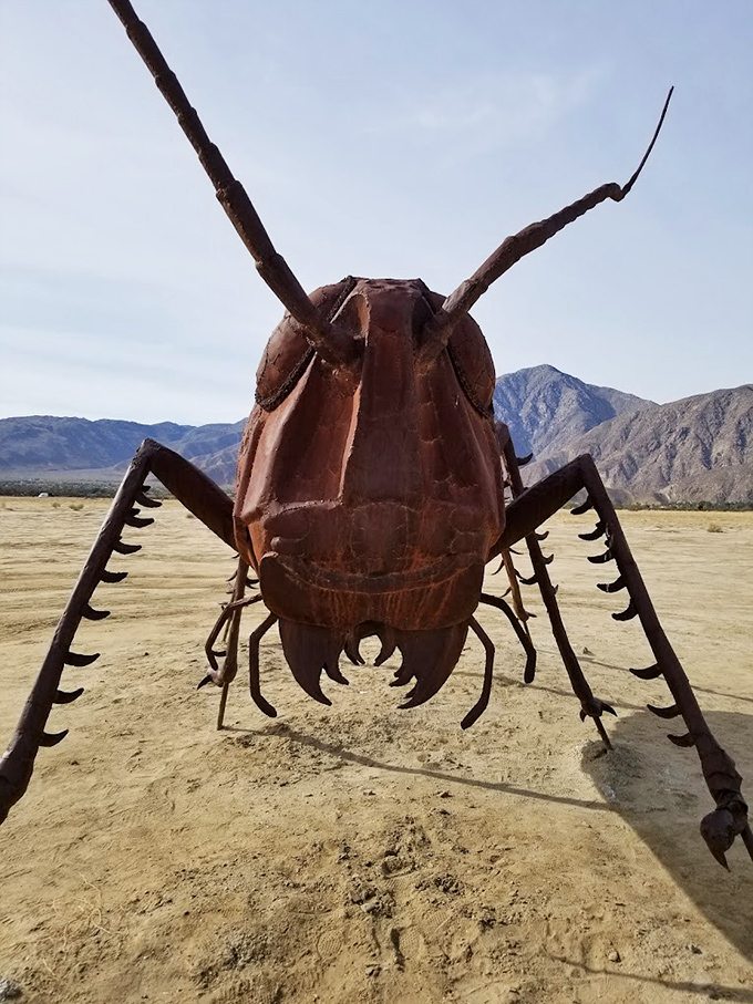 Face-to-face with a giant insect that would make any picnicker flee. Thankfully, this one's safely made of metal.
