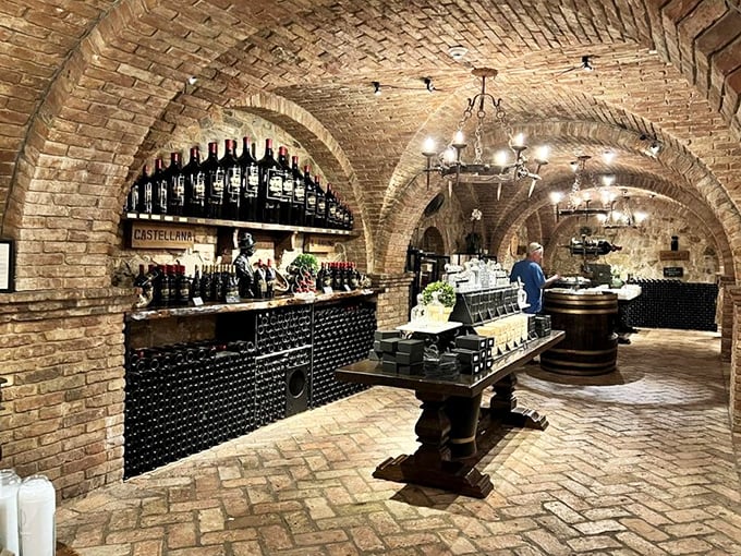 The tasting bar's brick arches have witnessed thousands of visitors suddenly becoming wine experts after the third sample.
