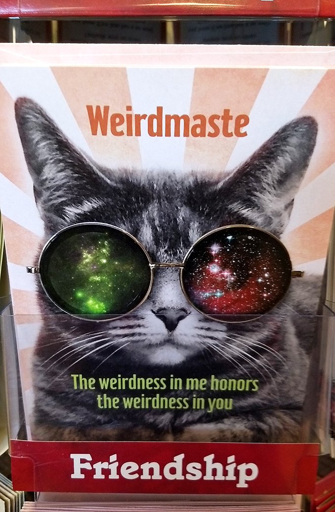 Cosmic cat wisdom on display: "The weirdness in me honors the weirdness in you"—greeting cards that speak universal truths.