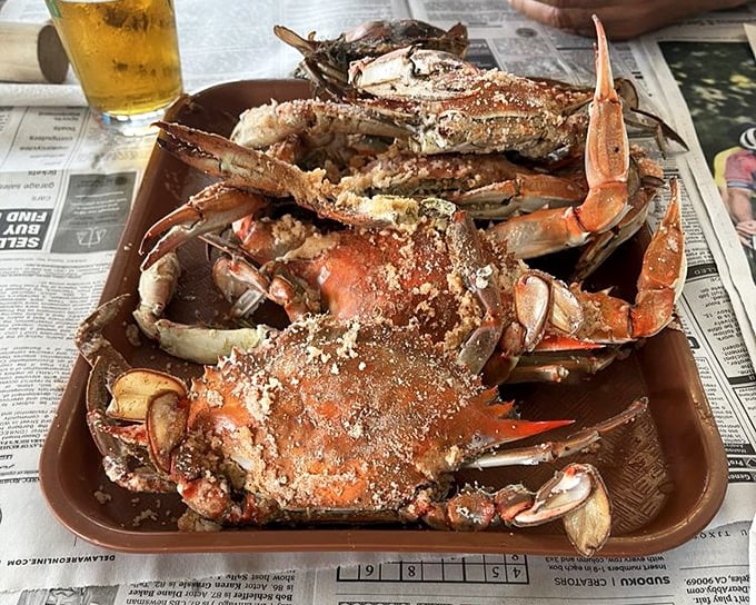 Half a dozen perfectly seasoned crabs on a tray with a cold beer nearby&mdash;this isn't just dinner, it's a Delaware ritual.