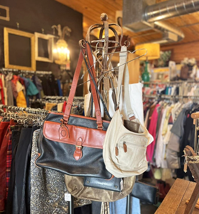 A collection of vintage handbags hanging like fashionable fruit, each one ready to add a dash of retro glamour to contemporary outfits.