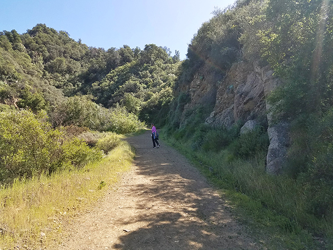 Wide fire roads flanked by dramatic rock walls make hiking feel less like exercise and more like exploring a natural cathedral.