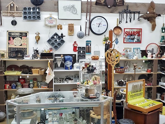 Vintage collectibles arranged with care, each shelf a curated museum of American life and memories worth preserving forever. 