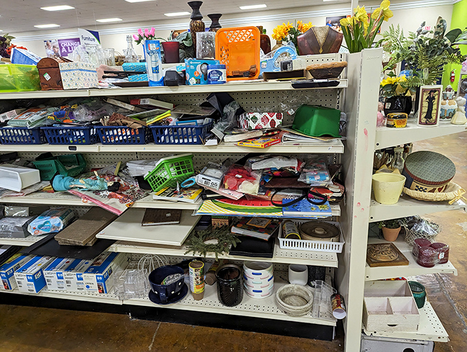 Organized chaos of household miscellany&mdash;where measuring cups, vases, and mysterious gadgets create a still life of American consumption.