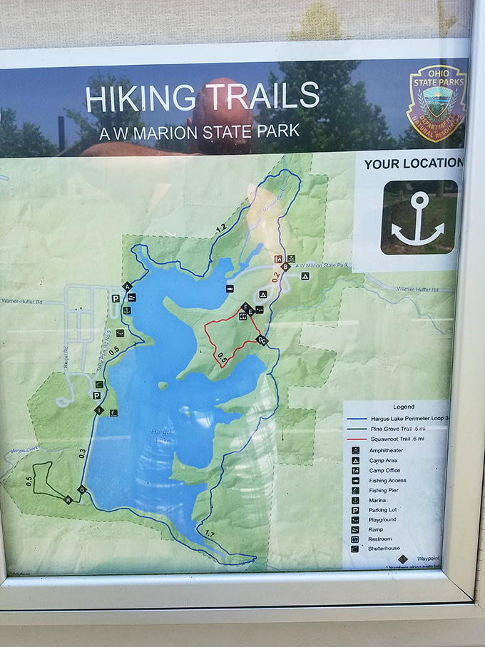 Never get lost with this detailed trail map &ndash; though sometimes the best park experiences come from wandering off the beaten path.