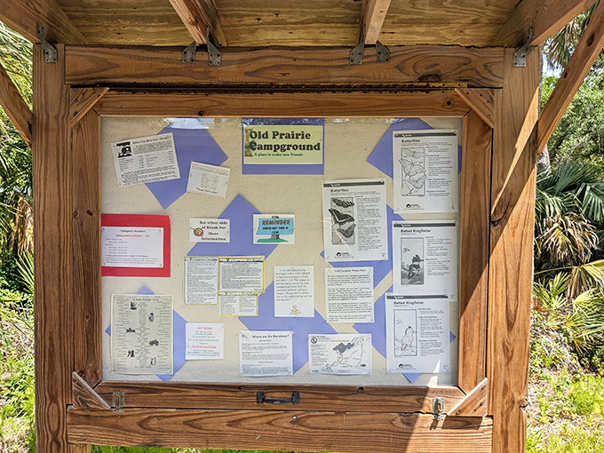 The Old Prairie Campground bulletin board &ndash; where "What's happening tonight?" means alligator spotting, not happy hour specials.
