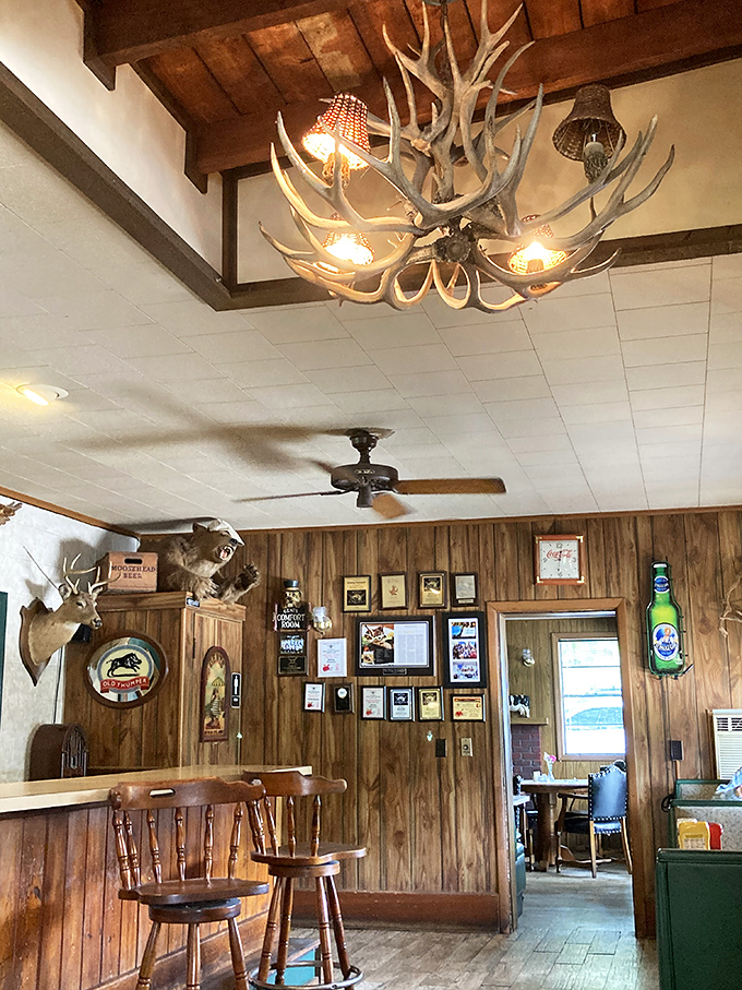 Inside, the atmosphere whispers "stay awhile" in that way only authentic Florida restaurants can manage.