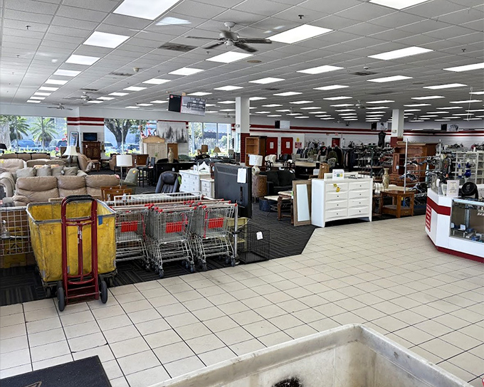 Shopping carts stand ready for filling in this bargain hunter's paradise. The yellow donation bins have seen everything from heirlooms to impulse purchases.
