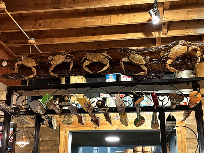 Maritime memorabilia meets modern comfort in a space that feels like your cool uncle's beach house.