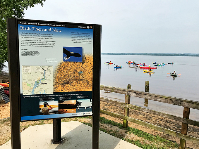 Educational signage that manages the impossible: making learning feel like discovery rather than homework, even for the most screen-addicted visitors.