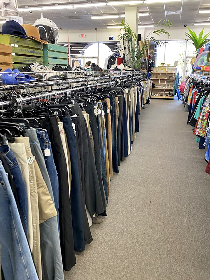 Denim dreams lined up like soldiers&mdash;each pair with stories to tell and new adventures waiting in their pockets.