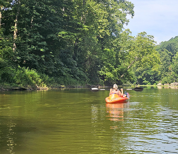 Paddling Sugar Creek offers perspective you can't get on foot. Life's better problems look smaller from the middle of the water.