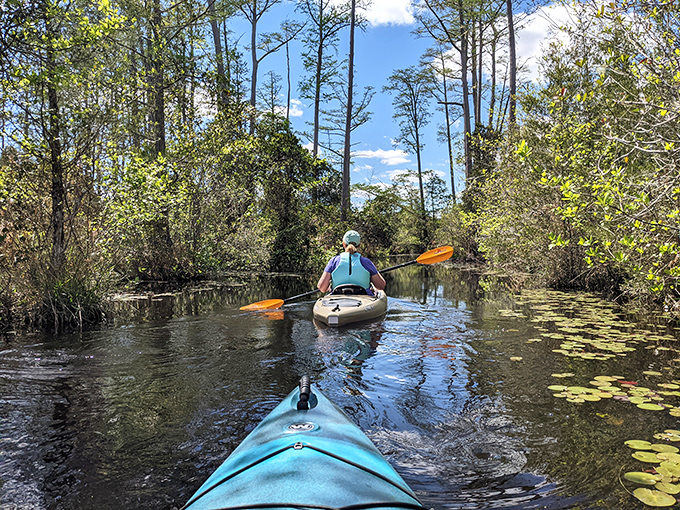 Kayaking Camden's waterways feels like gliding through nature's secret hallways&mdash;the kind that don't appear on any GPS but lead to the best destinations anyway.