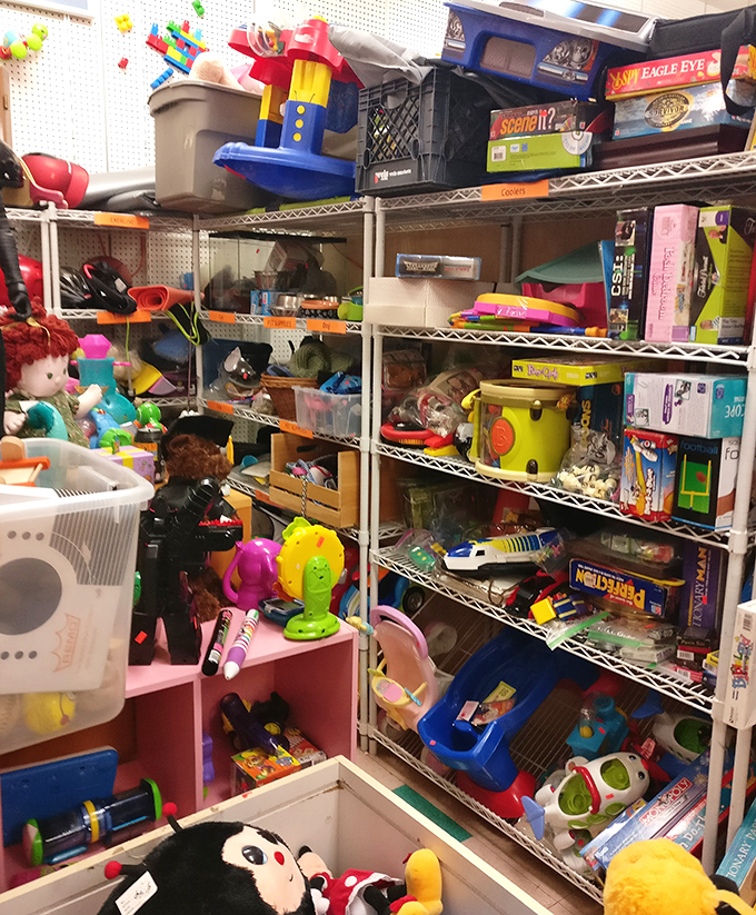 The toy section is childhood nostalgia incarnate, where forgotten plastic friends await new adventures with the next generation.