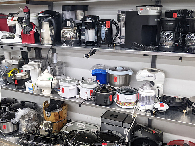 Coffee makers and slow cookers lined up like contestants on a very specific game show: "Who Wants to Come Home With a Bargain Hunter?"
