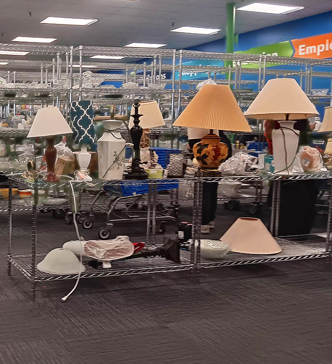 Lamp shopping becomes an archaeological dig through design decades. That floral ceramic base has witnessed conversations from another era entirely.