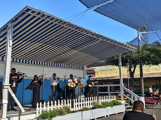 Live mariachi music transforms an ordinary shopping day into a cultural celebration. These musicians don't just play songs&mdash;they provide the soundtrack to memory-making.