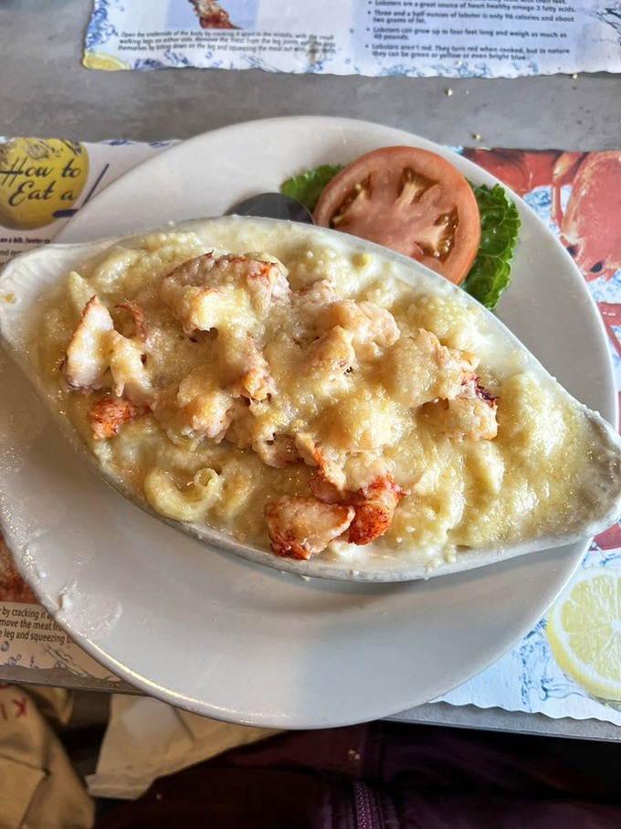 Lobster mac and cheese&mdash;where comfort food puts on its fancy pants and still remembers where it came from. Pure, melty genius on a plate.