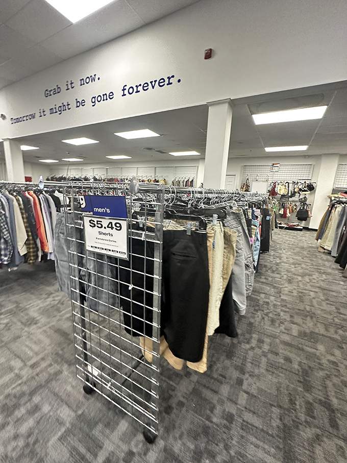 "Grab it now! Tomorrow it might be gone"&mdash;thrift store philosophy that turns shopping into an exhilarating treasure hunt.