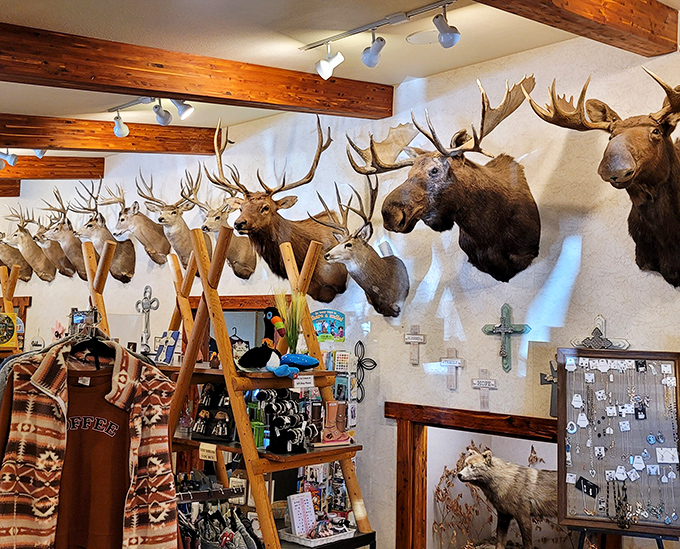 Where the wild things are &ndash; impressive taxidermy creates an atmosphere that's pure North Dakota. Shopping with moose supervision.