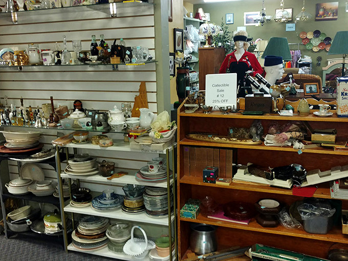 Dishware displayed with the care of a museum curator but priced like it's going out of style. Someone's wedding china becomes your Tuesday night pasta plates.