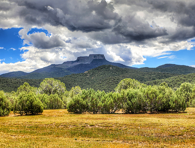 Trinidad's waterways offer tranquil moments where cattails sway and ripples catch the light&mdash;nature's own meditation app come to life.