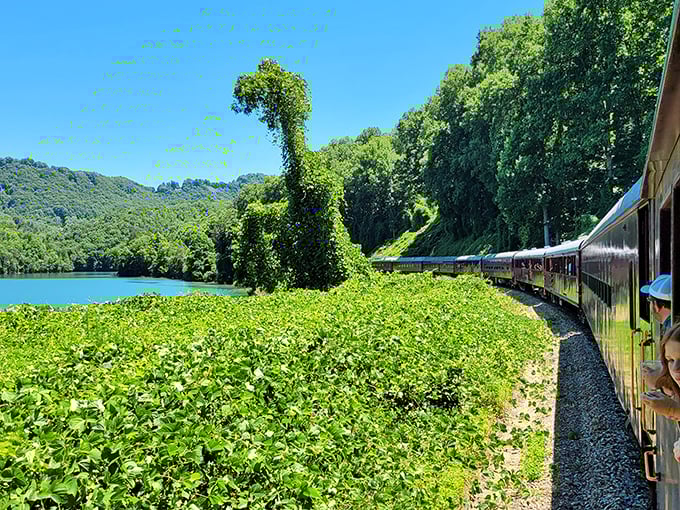 Kudzu-draped lakeside views prove that even invasive species can occasionally contribute to absolutely spectacular scenery you won't forget.