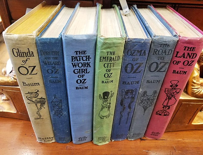 The complete Oz collection stands at attention, their faded spines like old friends who've weathered time together. Dorothy would approve of this rainbow.