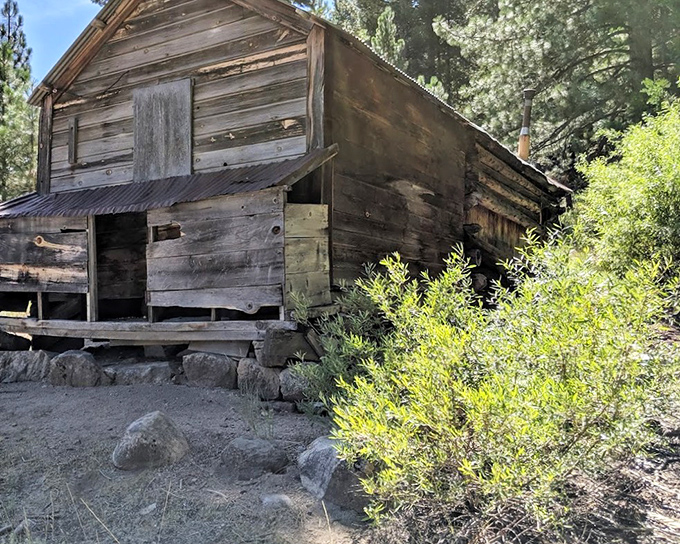 Weathered structures stand as monuments to simpler times when "getting away" actually meant something tangible.