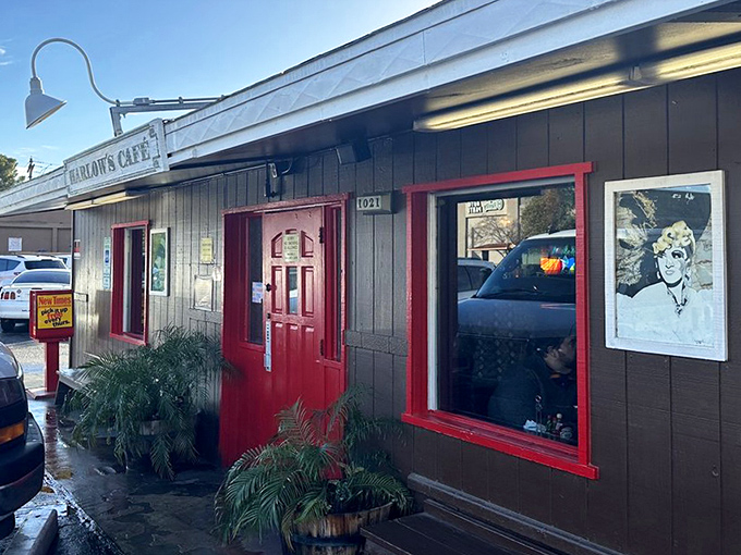 The exterior view reveals Harlow's true superpower – looking completely unassuming while hiding breakfast treasures that would make food critics weep.