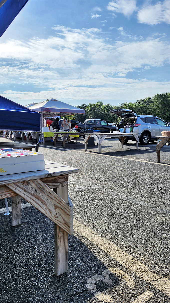 Outdoor vendors set up under blue skies, creating that classic flea market atmosphere everyone loves experiencing.