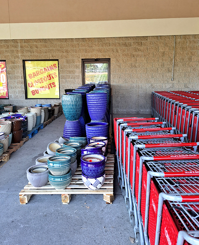 Garden pottery paradise awaits outside, where colorful planters stand ready to transform patios at prices that won't wilt your wallet.