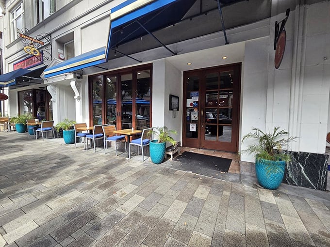 The outdoor patio &ndash; where dogs, laptops, and Danish pastries coexist in the kind of harmony world leaders should study.