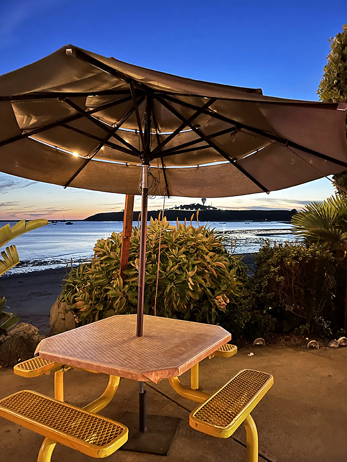 Sunset dining with a harbor view&mdash;where Mother Nature provides the ambiance that no interior designer could ever replicate.