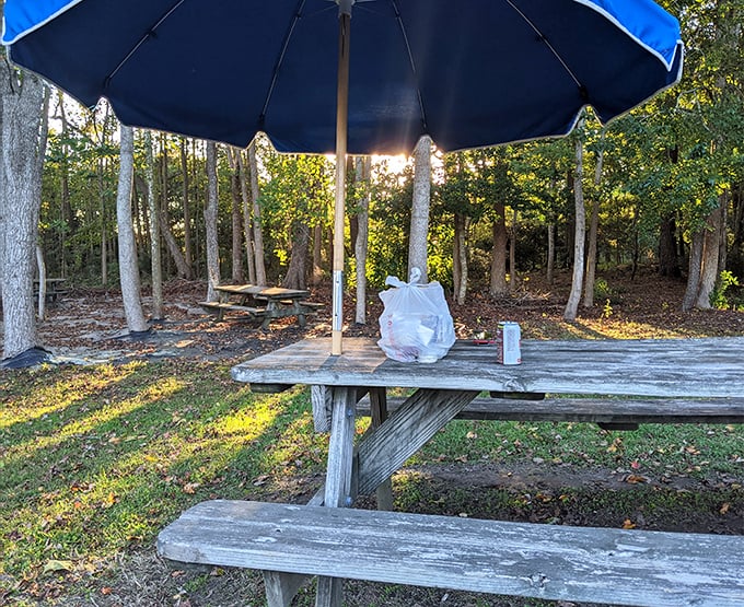 These outdoor picnic tables under blue umbrellas aren't just seating&mdash;they're front-row tickets to a Virginia Shore afternoon, complete with forest backdrop.