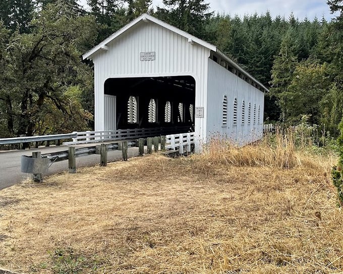 The approach view makes you wonder if you've somehow driven onto a movie set where small-town America meets architectural poetry.