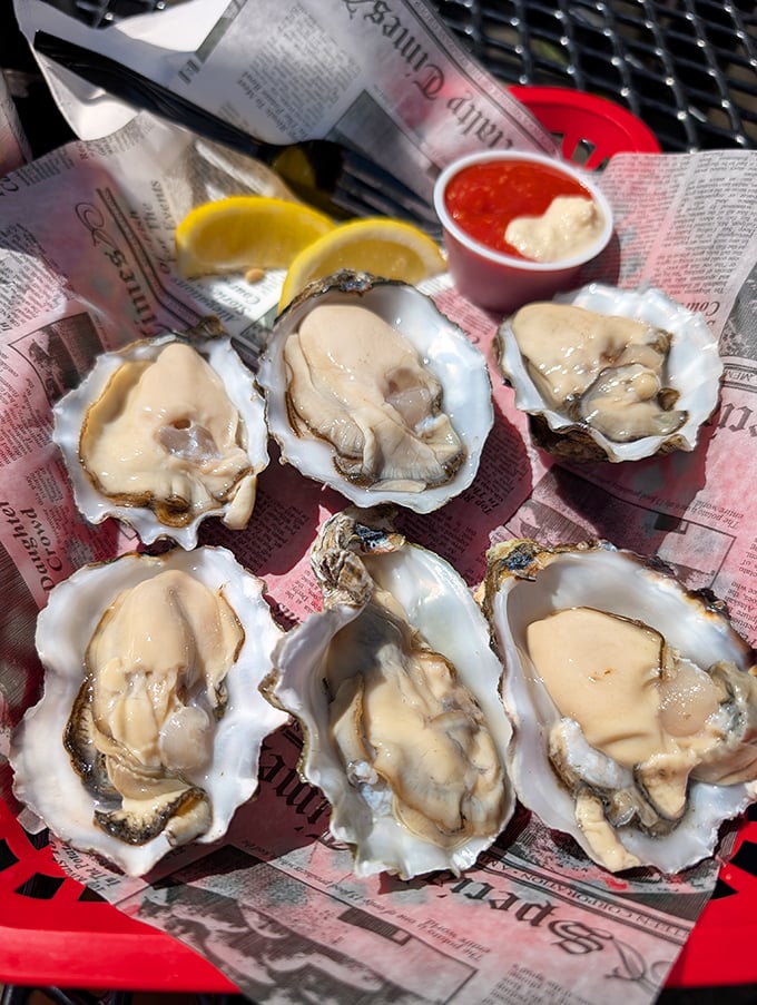 Oysters on the half shell&mdash;nature's perfect appetizer, requiring nothing more than a squeeze of lemon and a moment of appreciation.